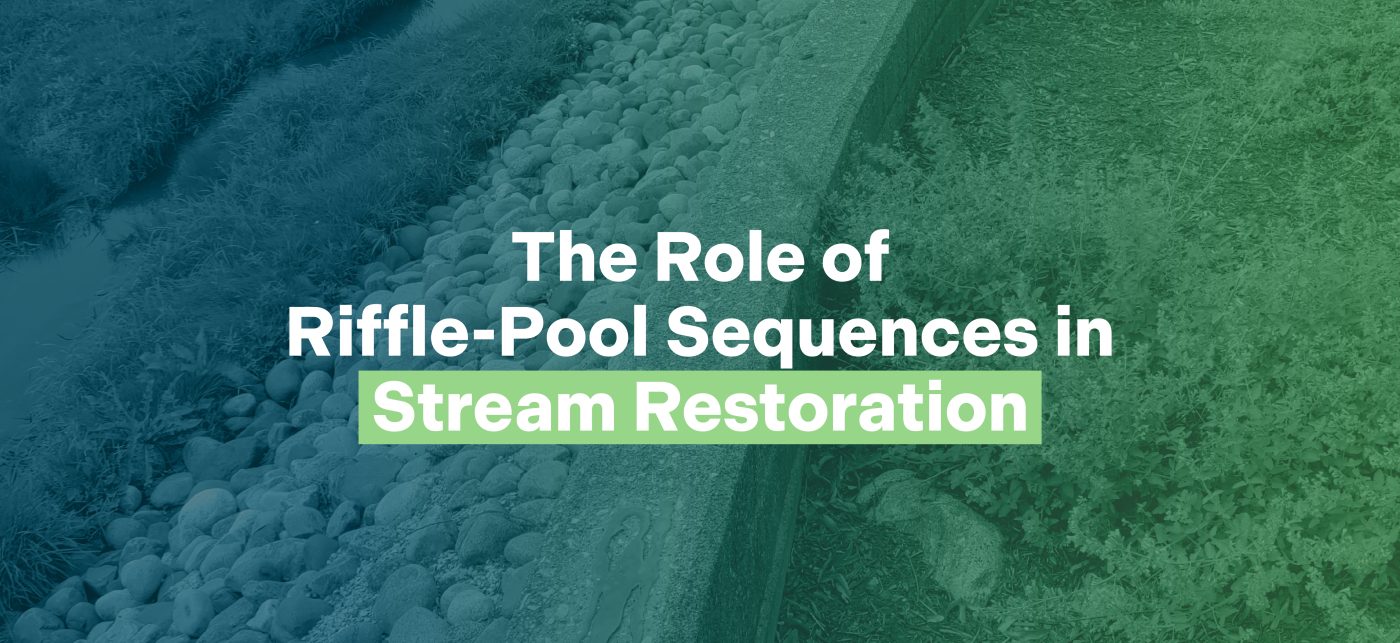 Restoring Streams, Naturally. - Primera